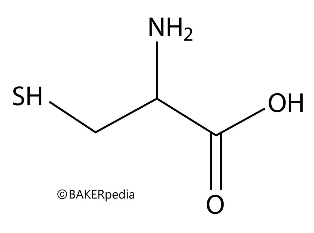 L-cysteine | Baking Ingredients | BAKERpedia