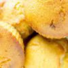Cellulose Fiber – BAKERpedia