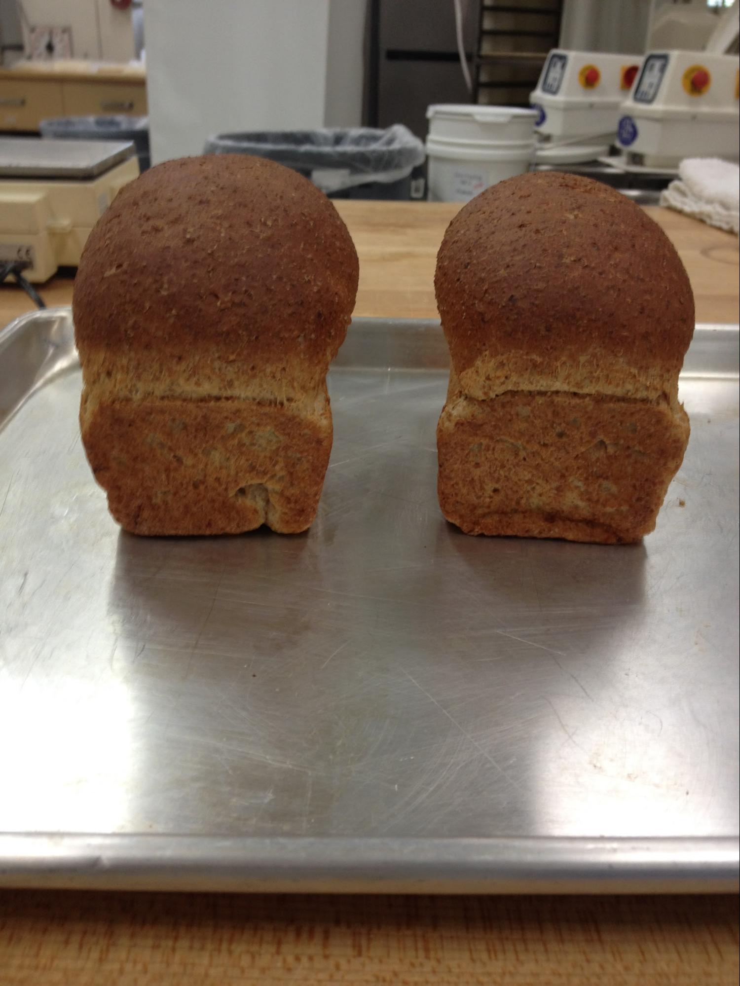 How Do I Make Sprouted Wheat Bread? | Research Corner | BAKERpedia