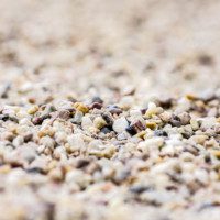 Physical Foreign Materials | Food Safety | BAKERpedia