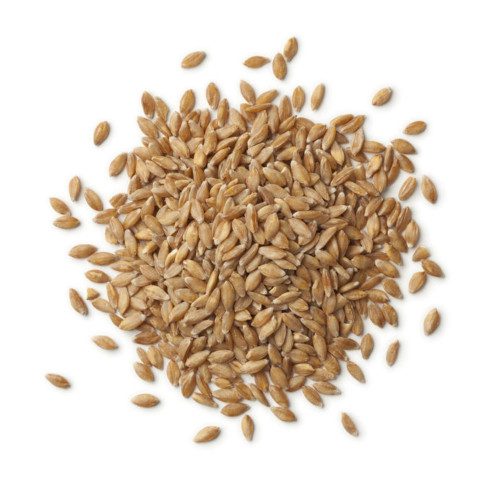 Einkorn | Baking Ingredients | BAKERpedia