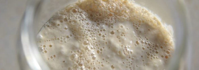 When to Use Biga as a Preferment | Blog | BAKERpedia