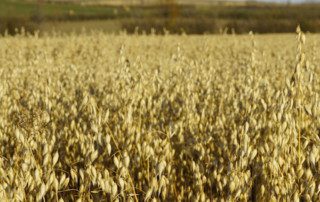 BAKERpedia Blog | BAKERpedia