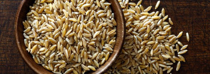 Baking with Ancient Grains: Khorasan Wheat | Blog | BAKERpedia