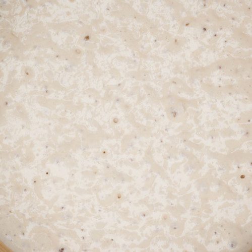 Levain | Baking Processes | BAKERpedia