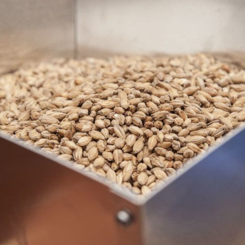 Malt | Baking Processes | BAKERpedia