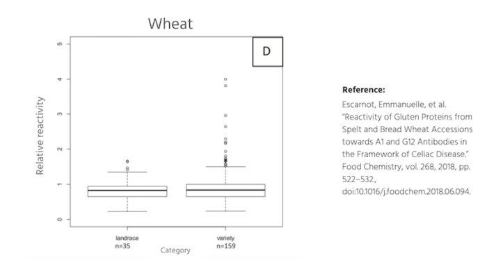 BAKER Campcast S1E1: Wheat Breeding and Classes | BAKERpedia