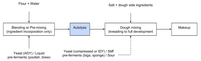 Autolyse | Baking Processes | BAKERpedia
