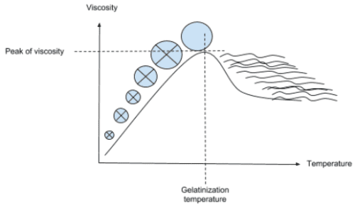 Starch Gelatinization | Baking Processes | BAKERpedia