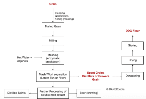 Distillers Grain Bread | Baking Processes | BAKERpedia