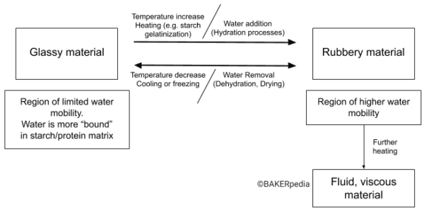Glass Transition | Baking Processes | BAKERpedia