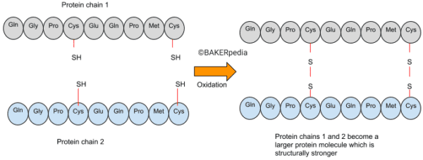 Potassium Bromate | Baking Ingredients | BAKERpedia