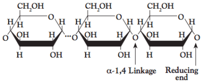 The Science Behind Bread Staling | Blog | BAKERpedia