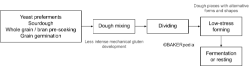 Dough Processing – BAKERpedia