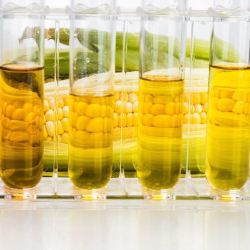 High Fructose Corn Syrup (HFCS) | Baking Ingredients | BAKERpedia
