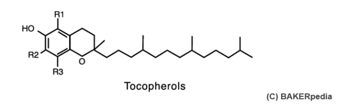 Tocopherols | Baking Ingredients | BAKERpedia