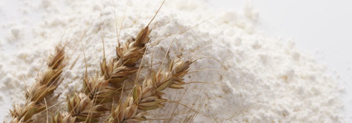 Use Flour Quality to Control Your Dough | Blog | BAKERpedia