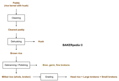 Rice Flour | White and Brown Rice | Baking Ingredients | BAKERpedia