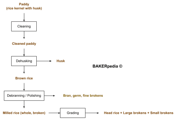 Rice Flour | White and Brown Rice | Baking Ingredients | BAKERpedia