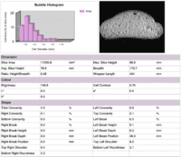 Crumb Analysis | Baking Processes | BAKERpedia