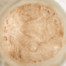Poolish | Baking Processes | BAKERpedia