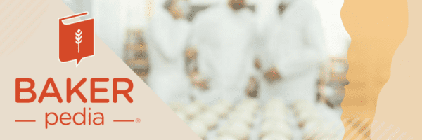 Poolish Baking Processes Bakerpedia