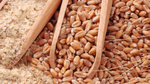 Understanding Flour Quality and Process Optimization – BAKERpedia