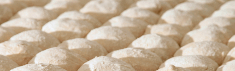 How to Improve Dough Quality Using the Mixolab | BAKERpedia