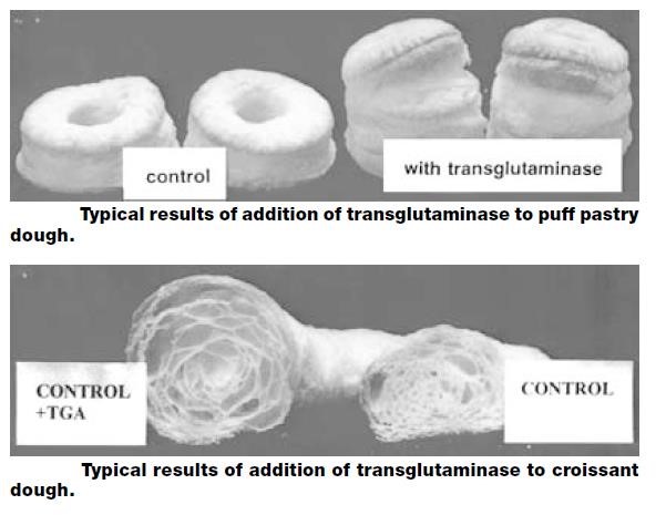 Improve Your Dough Improver with Transglutaminase Enzyme | Blog ...