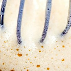 Specific Gravity for Cakes | Baking Processes | BAKERpedia