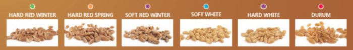 Types of Wheat | Resources | BAKERpedia