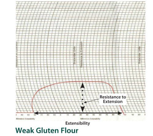 Extensograph | Baking Process | BAKERpedia