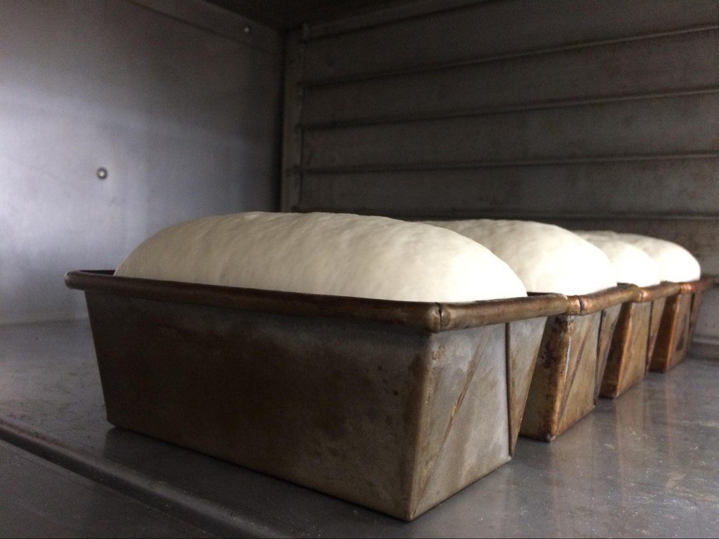 Is Staling Due to Moisture Loss? | Research | BAKERpedia