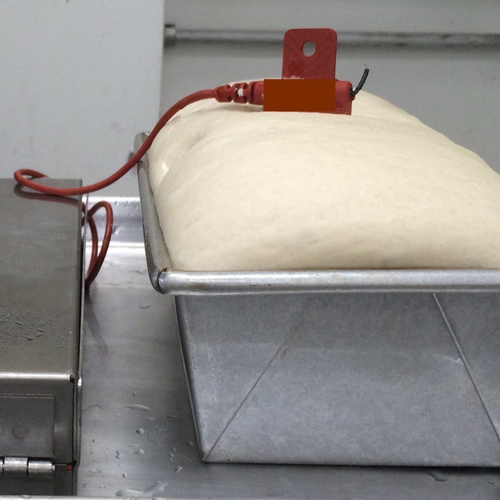 How to Determine Adequate Baking by Thermal Profiling | BAKERpedia